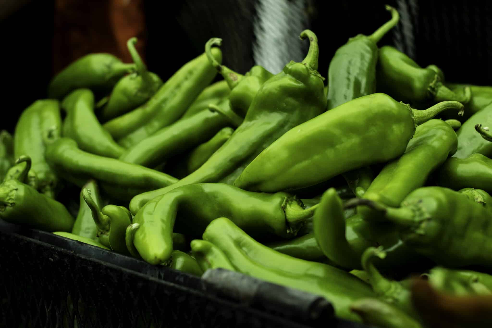 Pueblo Green Chiles Colorado: A Bold Local Flavor You Need to Try ...